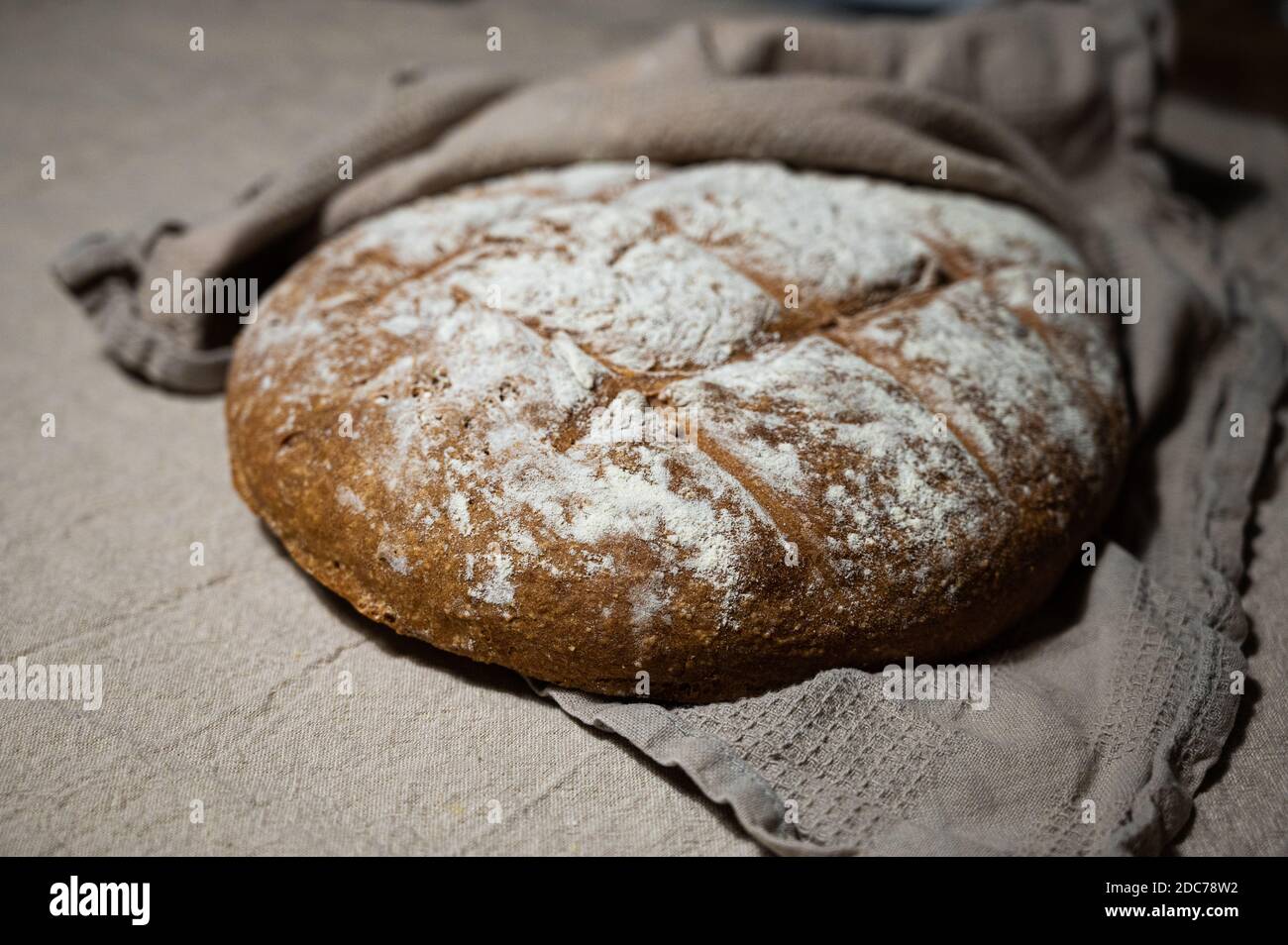 freshly baked farmhouse bread lies wrapped in a cloth to cool down on a ...
