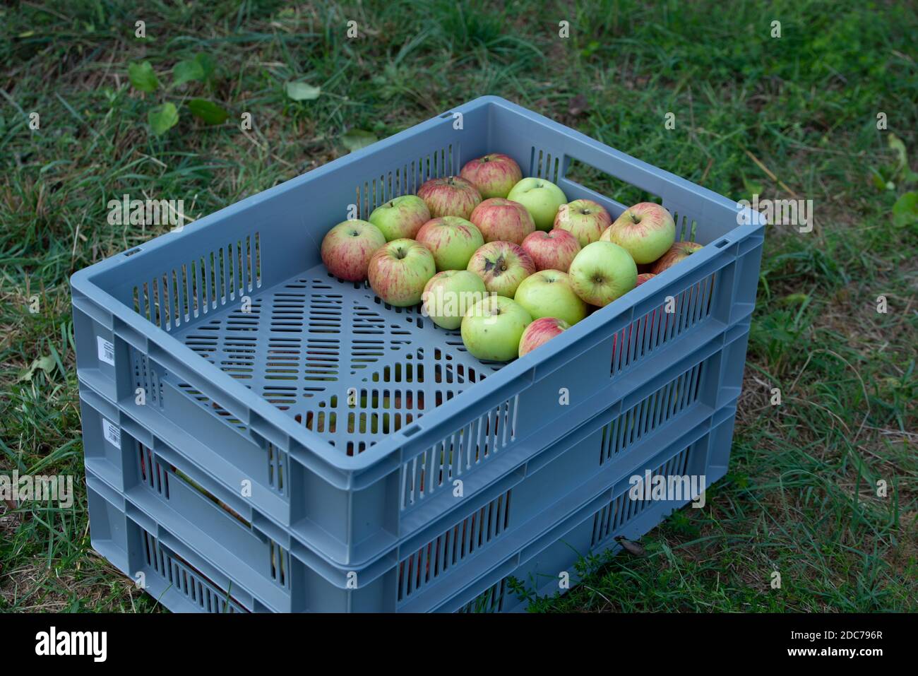 Old apple boxes hi-res stock photography and images - Alamy