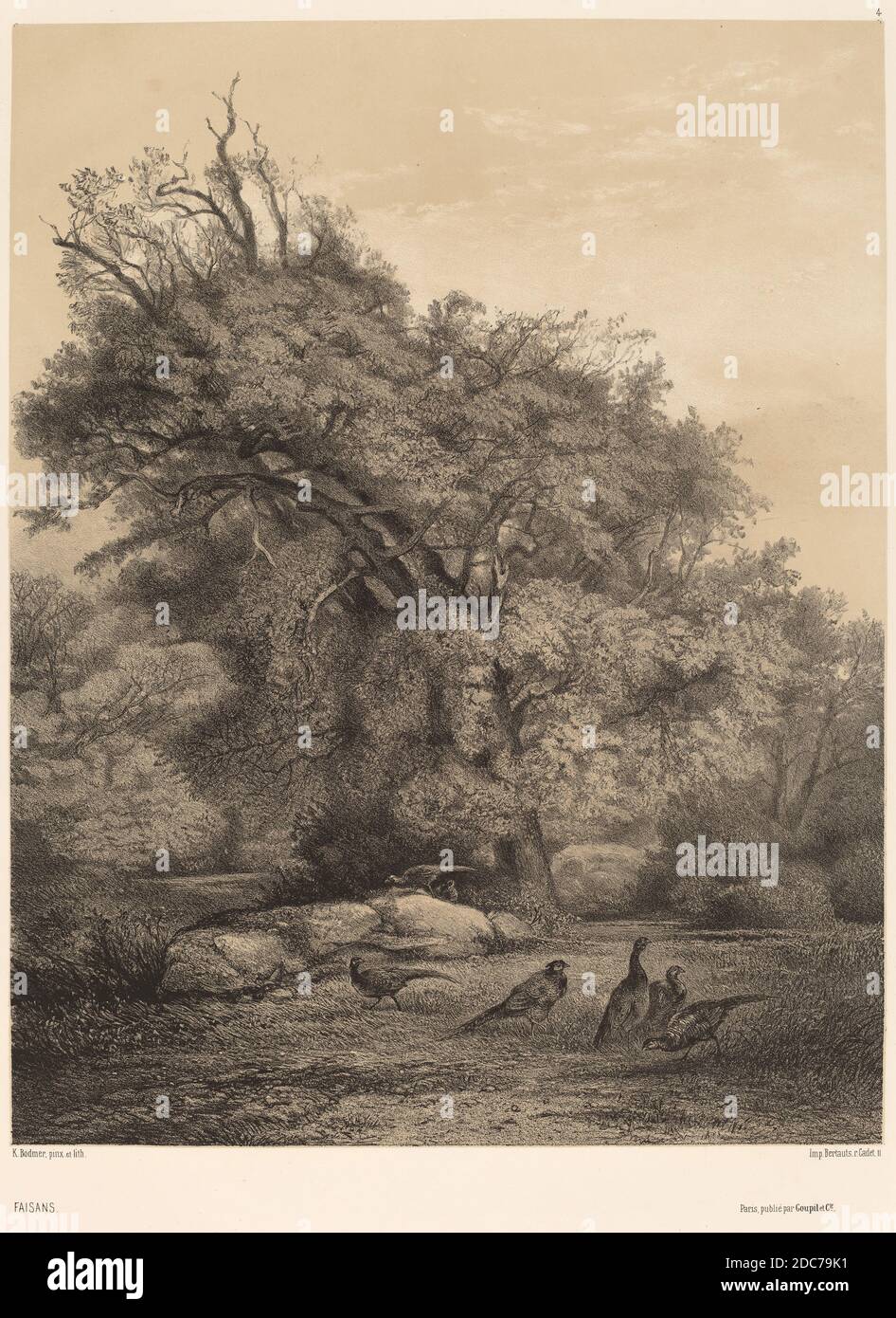 Karl Bodmer, (artist), Swiss, 1809 - 1893, Faisans, chiaroscuro ...