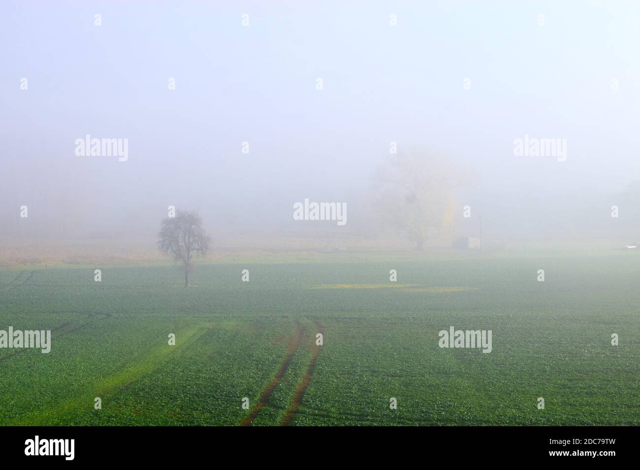 autumn in the Eifel, Thürer Wiesen Stock Photo - Alamy