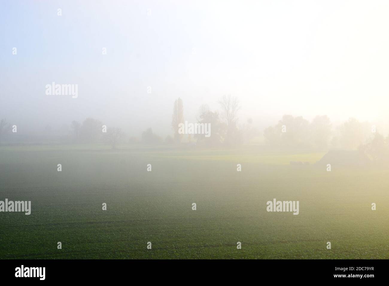 autumn in the Eifel, Thürer Wiesen Stock Photo - Alamy
