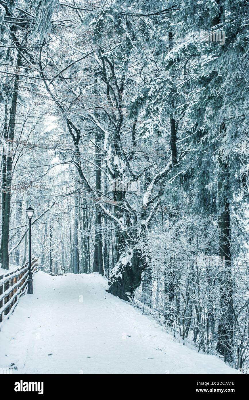 Beautiful winter landscape scene hi-res stock photography and images ...