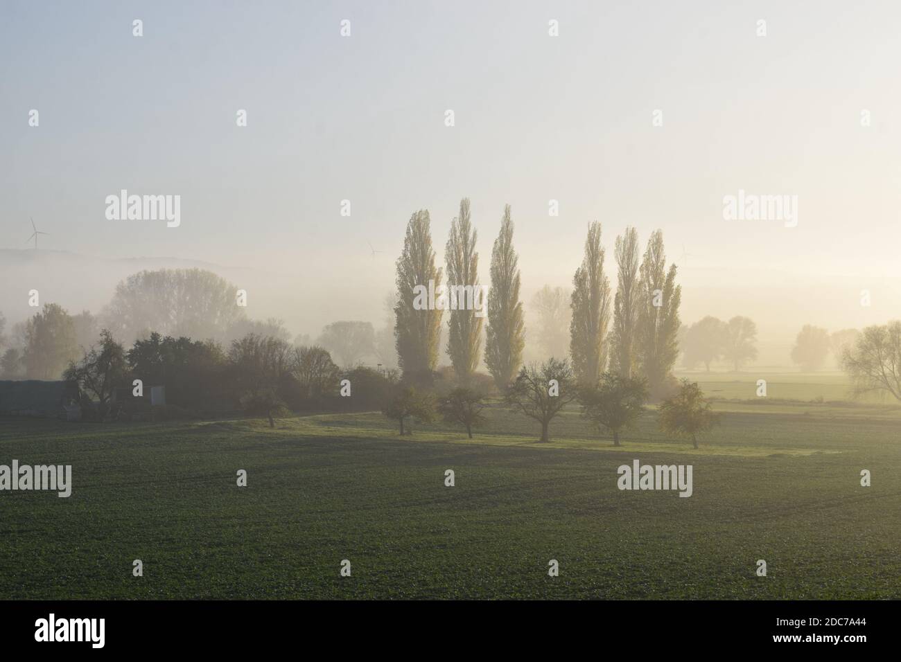 autumn in the Eifel, Thürer Wiesen Stock Photo - Alamy