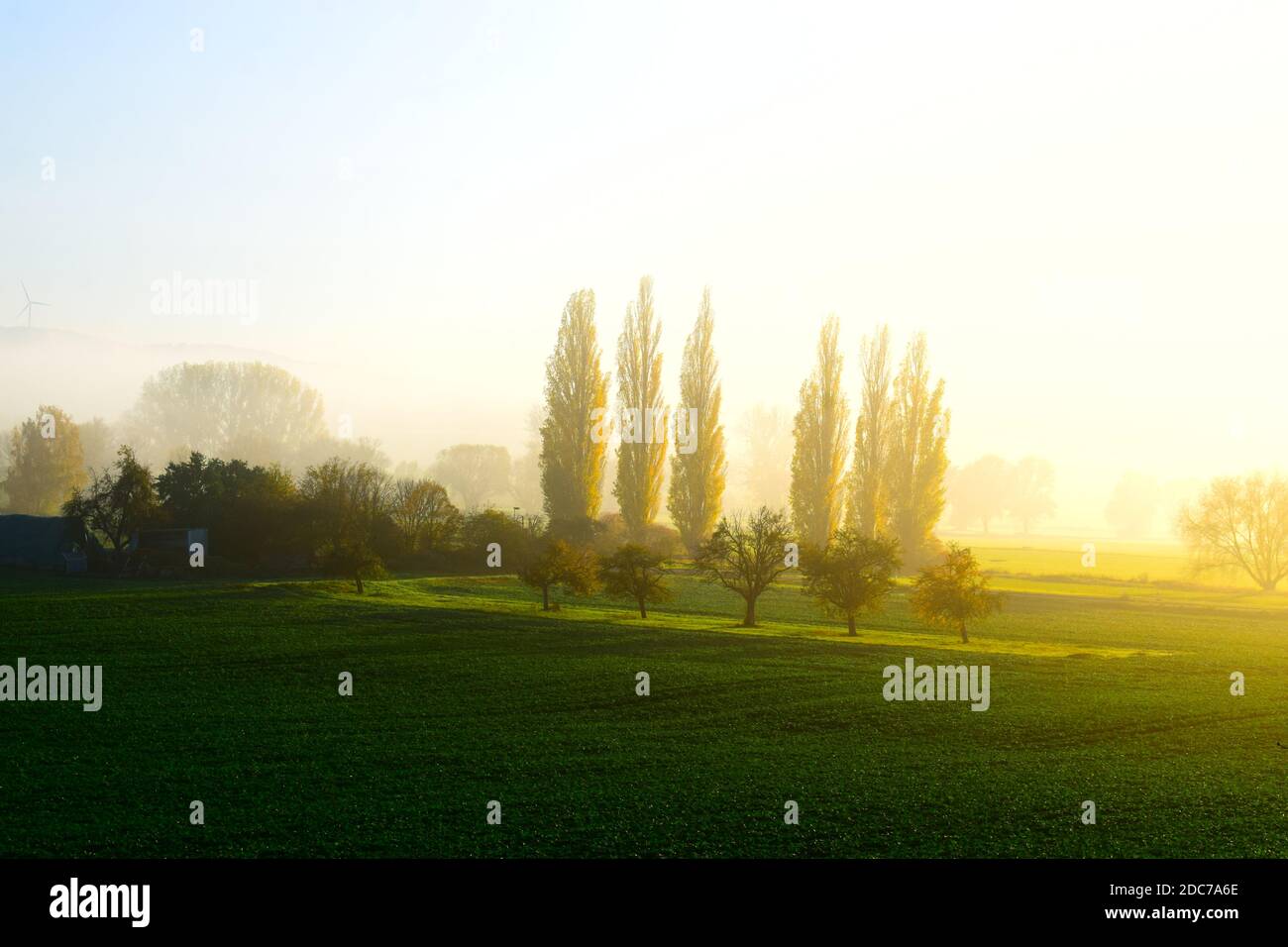 autumn in the Eifel, Thürer Wiesen Stock Photo - Alamy