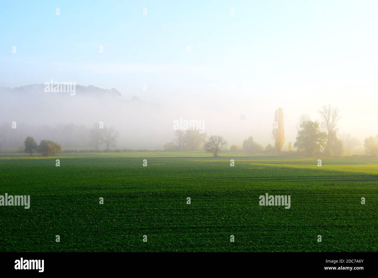 autumn in the Eifel, Thürer Wiesen Stock Photo - Alamy