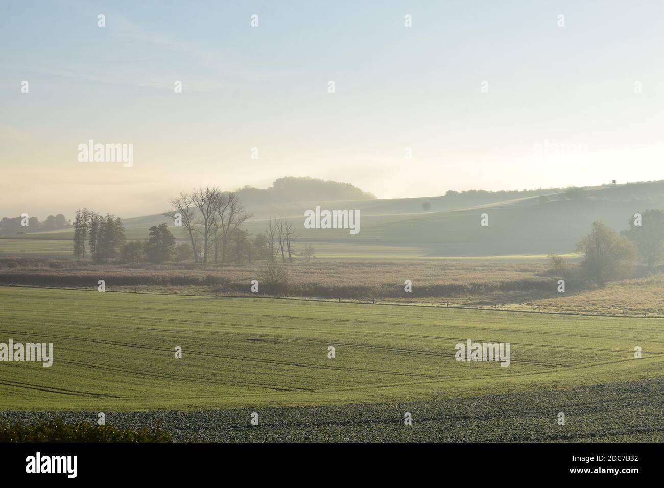 autumn in the Eifel, Thürer Wiesen Stock Photo - Alamy