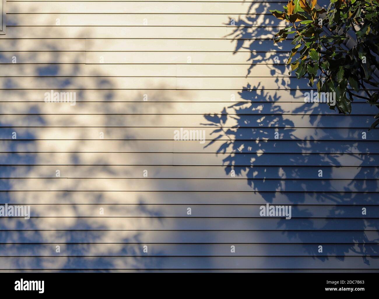 Tree shade shadow pattern hi-res stock photography and images - Alamy