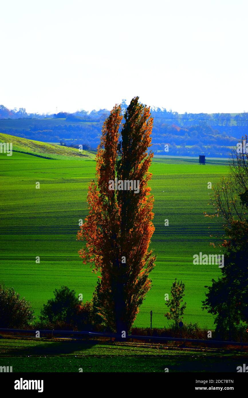 autumn in the Eifel, Thürer Wiesen Stock Photo - Alamy