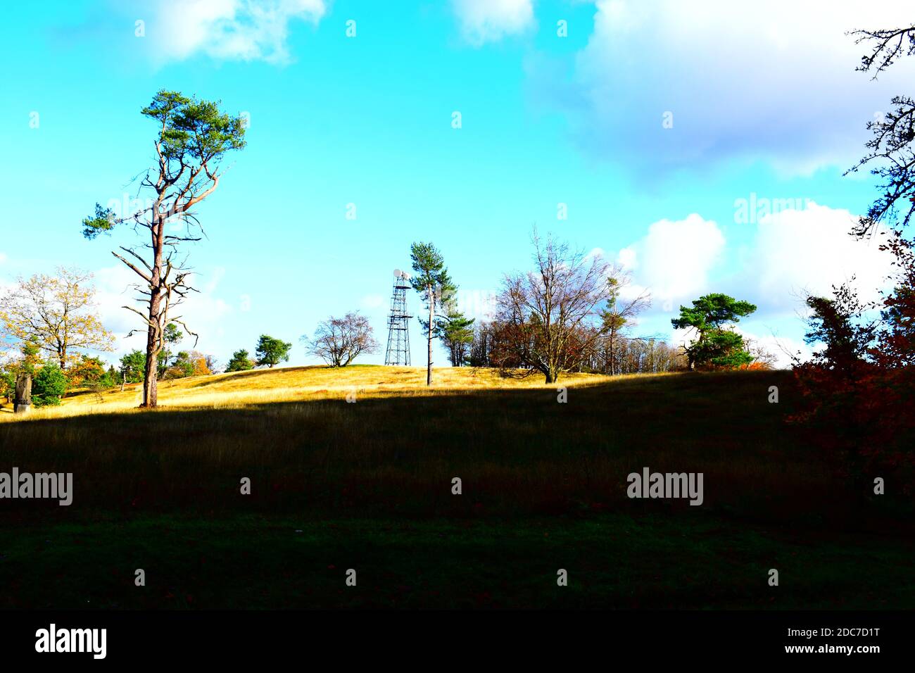 Bergheide Arft in the Eifel during autumn Stock Photo - Alamy