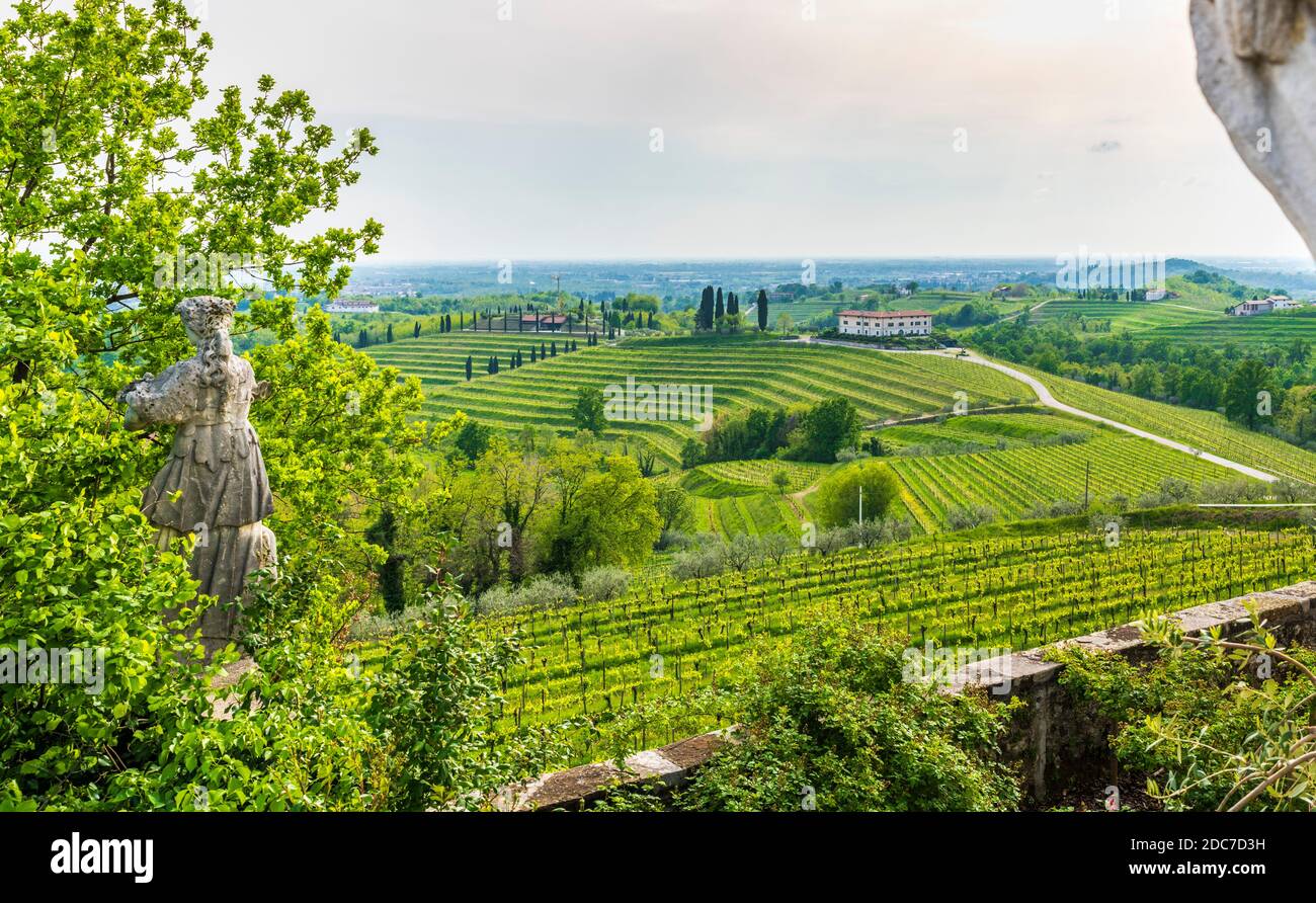 Friuli vineyard hi-res stock photography and images - Alamy