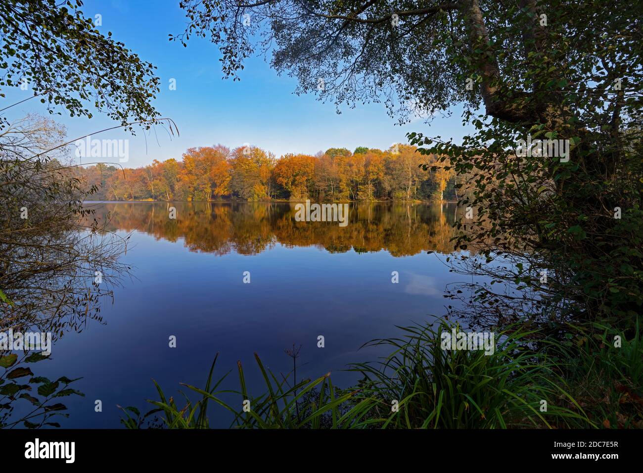 Slaugham mill pond, Slaugham, West Sussex, England, Uk Stock Photo - Alamy