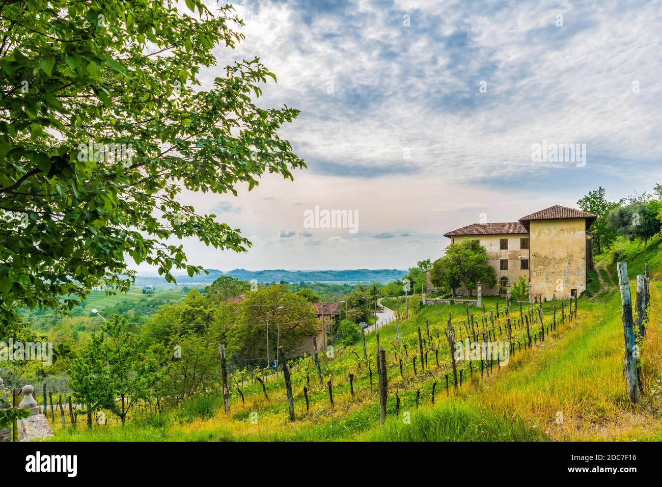 Friuli venezia giulia fruit hi-res stock photography and images - Alamy