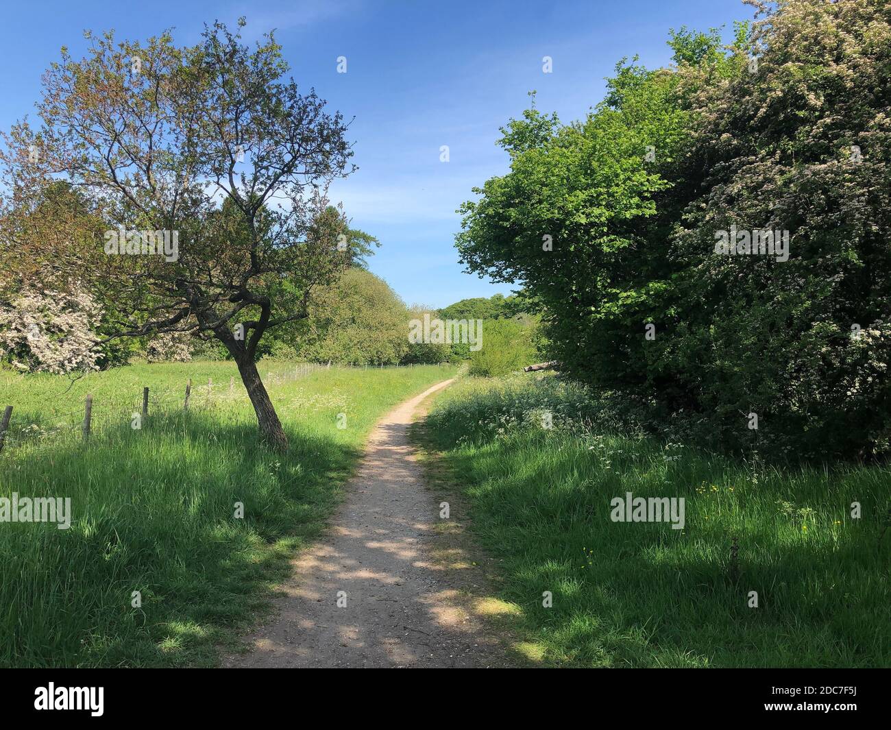A walk through the countryside from Sidehill woods to the Widford Road ...
