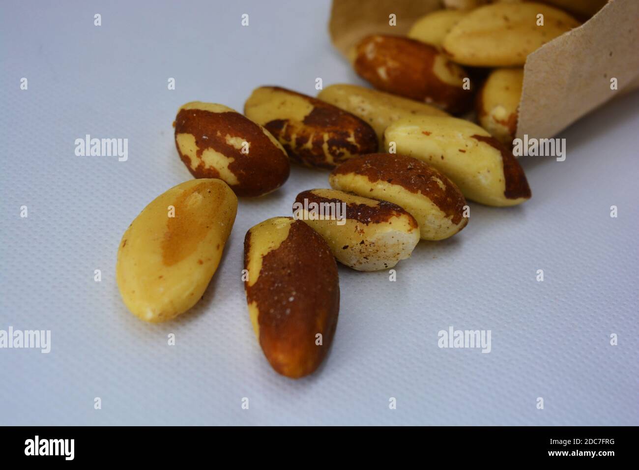 Bright and tasty, brown and white Brazil nuts (Bertholletia excelsa ...