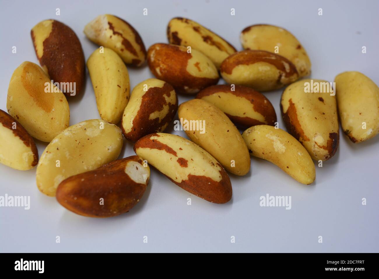 Bright and tasty, brown and white Brazil nuts (Bertholletia excelsa ...