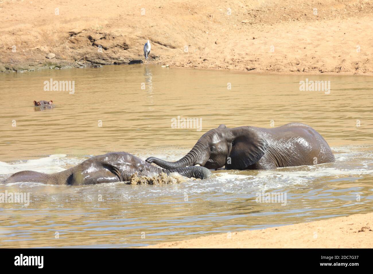 Mphongolo River High Resolution Stock Photography and Images - Alamy