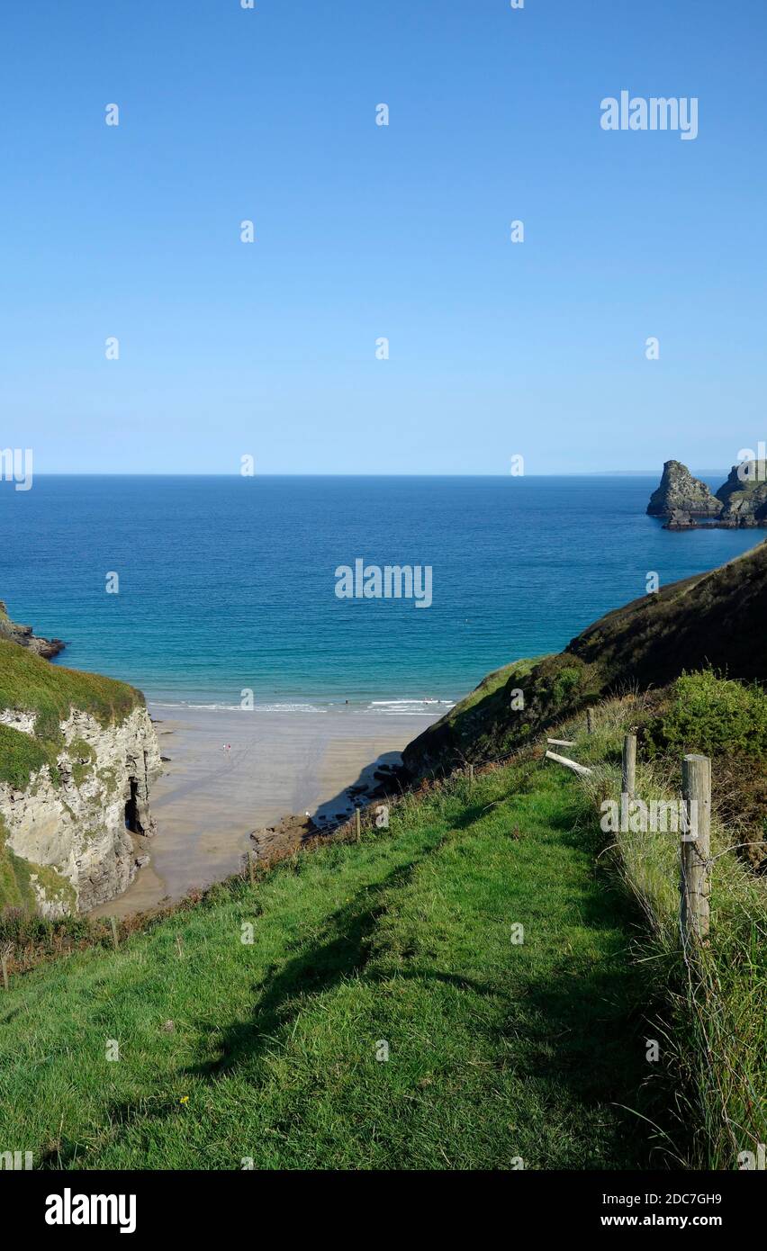 Bossiney haven summer hi-res stock photography and images - Alamy