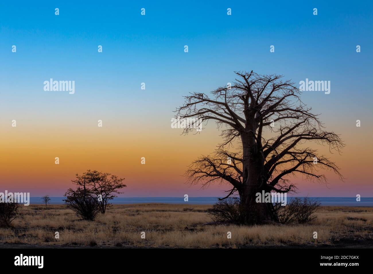 Sua Pan High Resolution Stock Photography and Images - Alamy