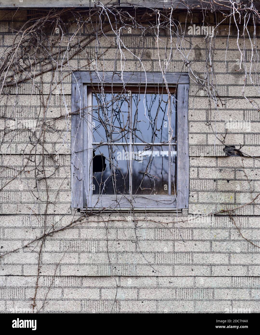 weathered wooden window on old vintage farm shed and barn Stock Photo ...