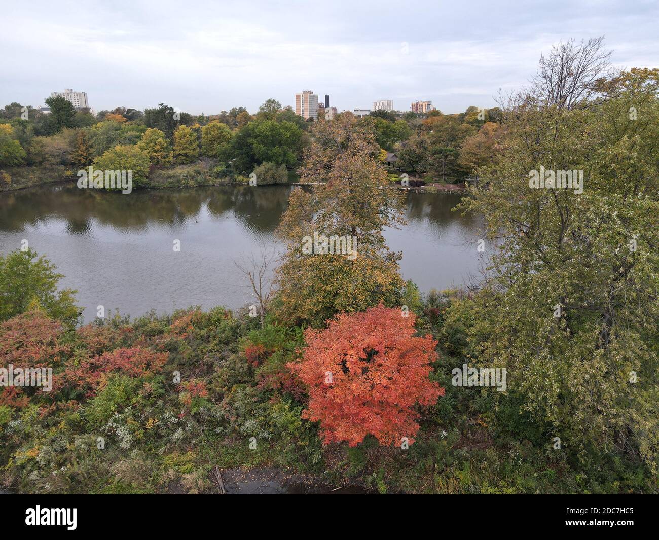Aerial Views of Chicago Skyline + Fall Colors Stock Photo - Alamy
