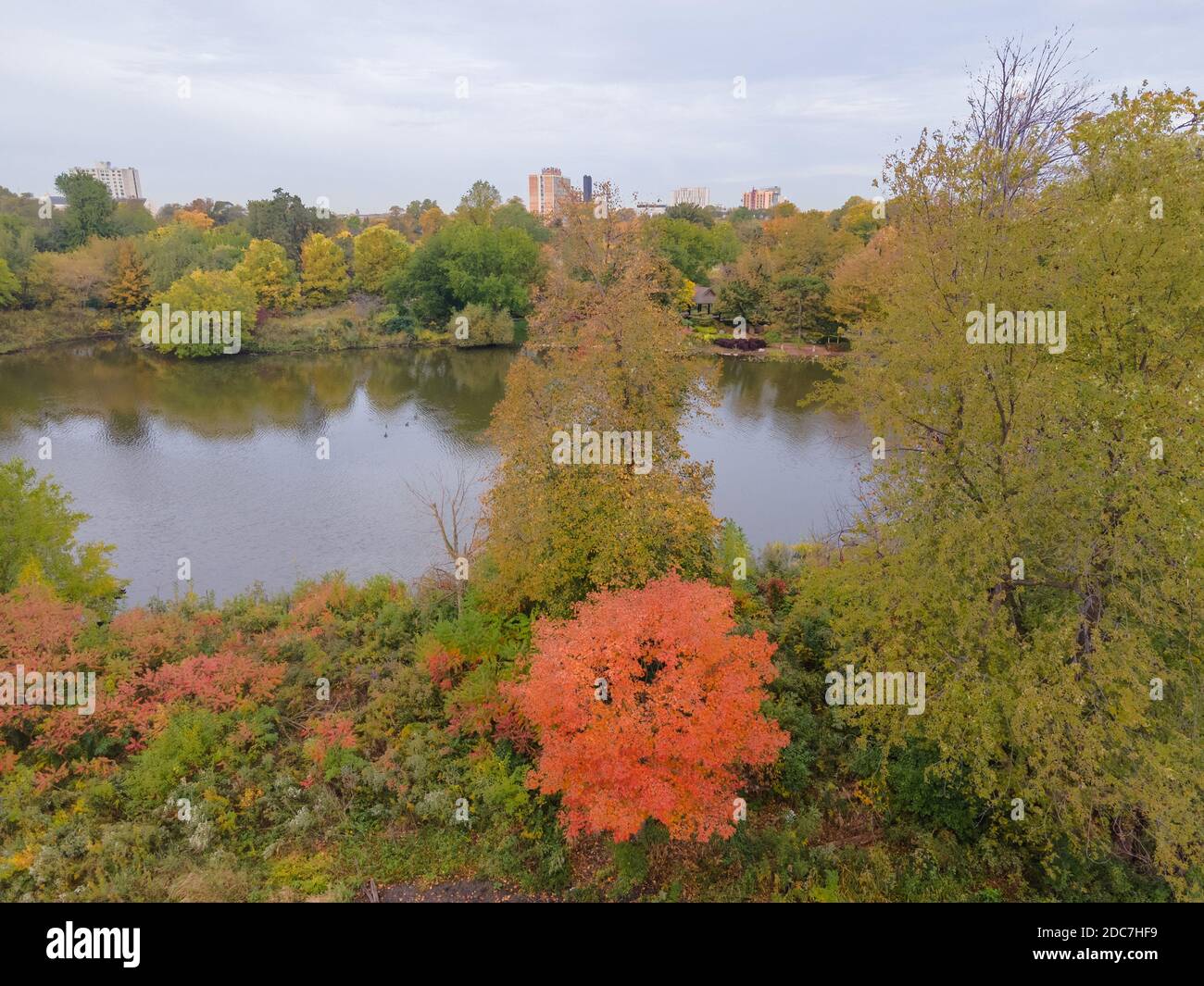 Aerial Views of Chicago Skyline + Fall Colors Stock Photo - Alamy