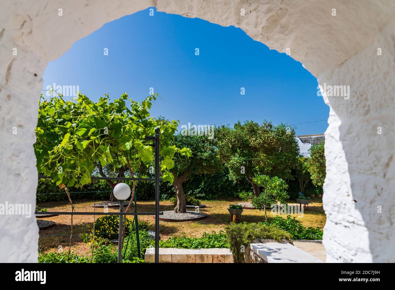 Olive trees and trulli of the Itria valley. Puglia Stock Photo - Alamy