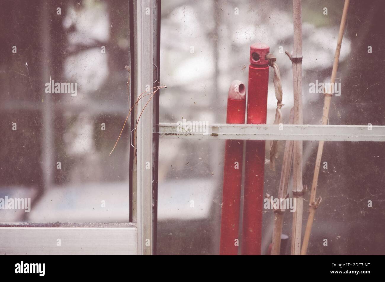 objects behind green house glasses Stock Photo - Alamy