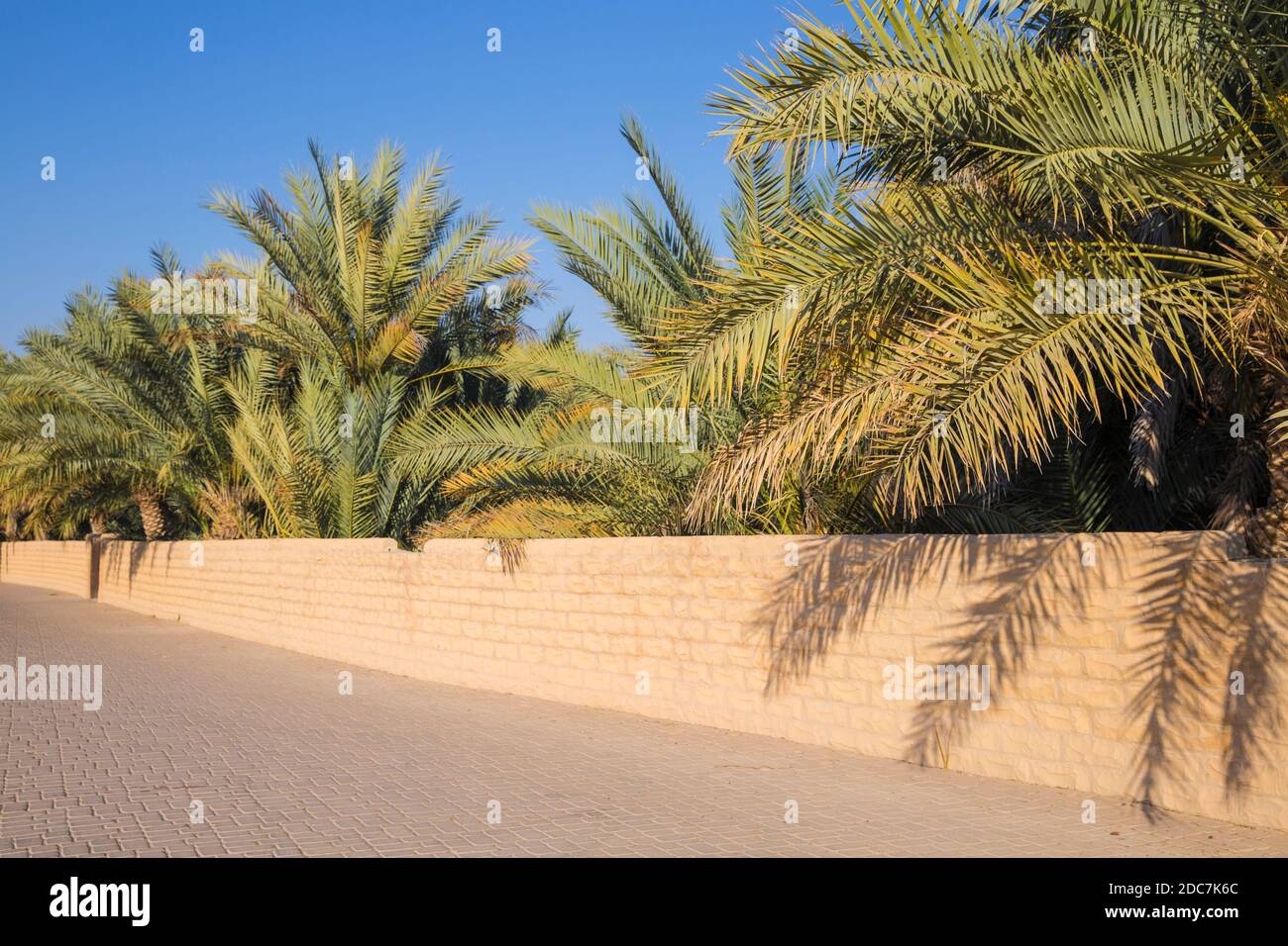 Hili emirates hi-res stock photography and images - Alamy