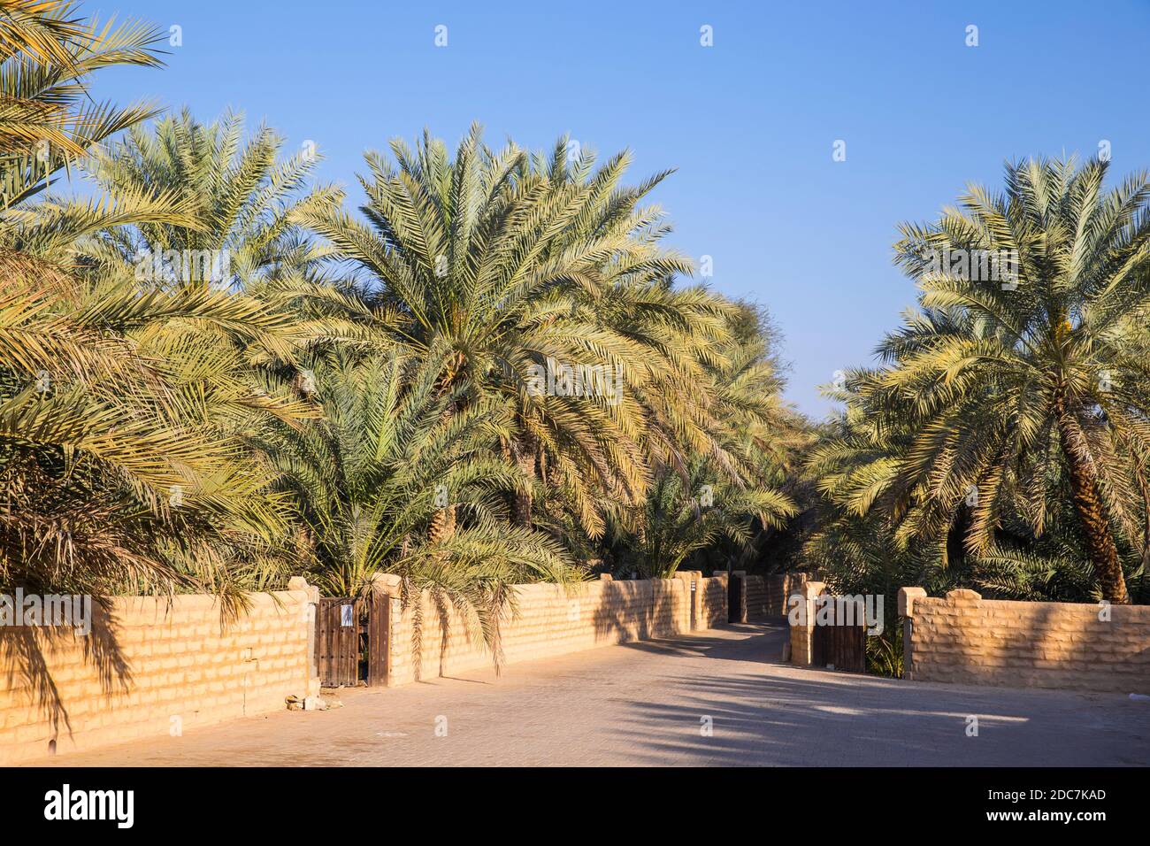 United Arab Emirates, Abu Dhabi, Al Ain, Hili, Hili oasis Stock Photo ...