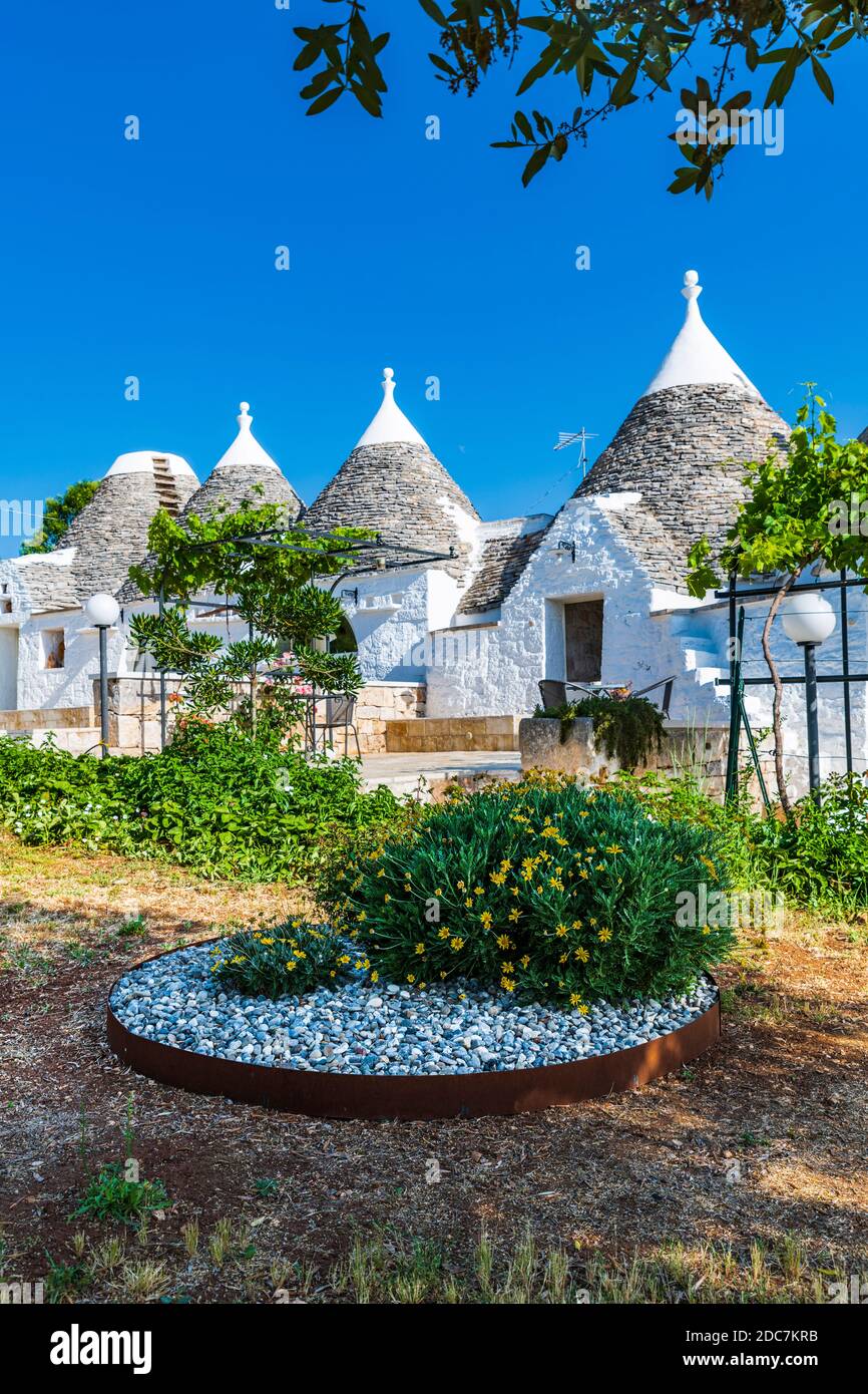 Olive trees and trulli of the Itria valley. Puglia Stock Photo - Alamy