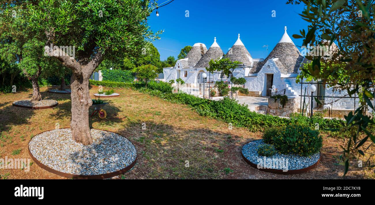 Olive trees and trulli of the Itria valley. Puglia Stock Photo - Alamy