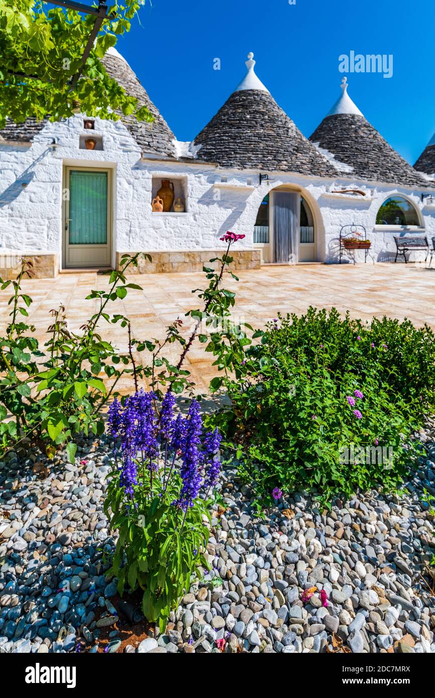 Olive trees and trulli of the Itria valley. Puglia Stock Photo - Alamy