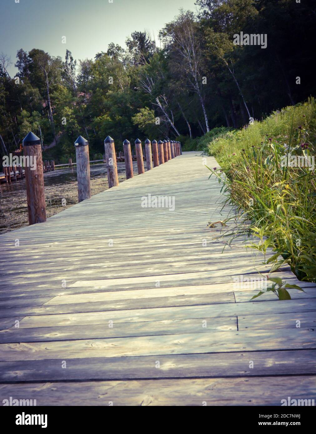 Vanishing wooden footpath through hi-res stock photography and images ...