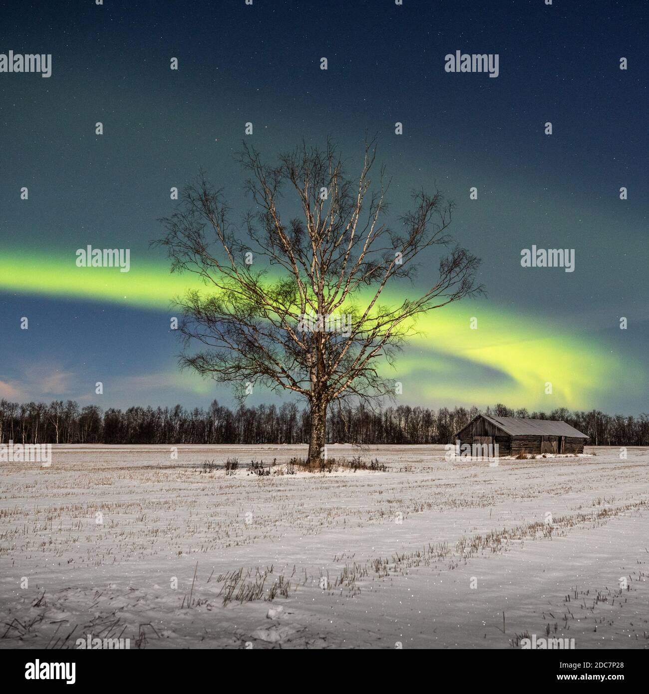 Lapua hi-res stock photography and images - Alamy