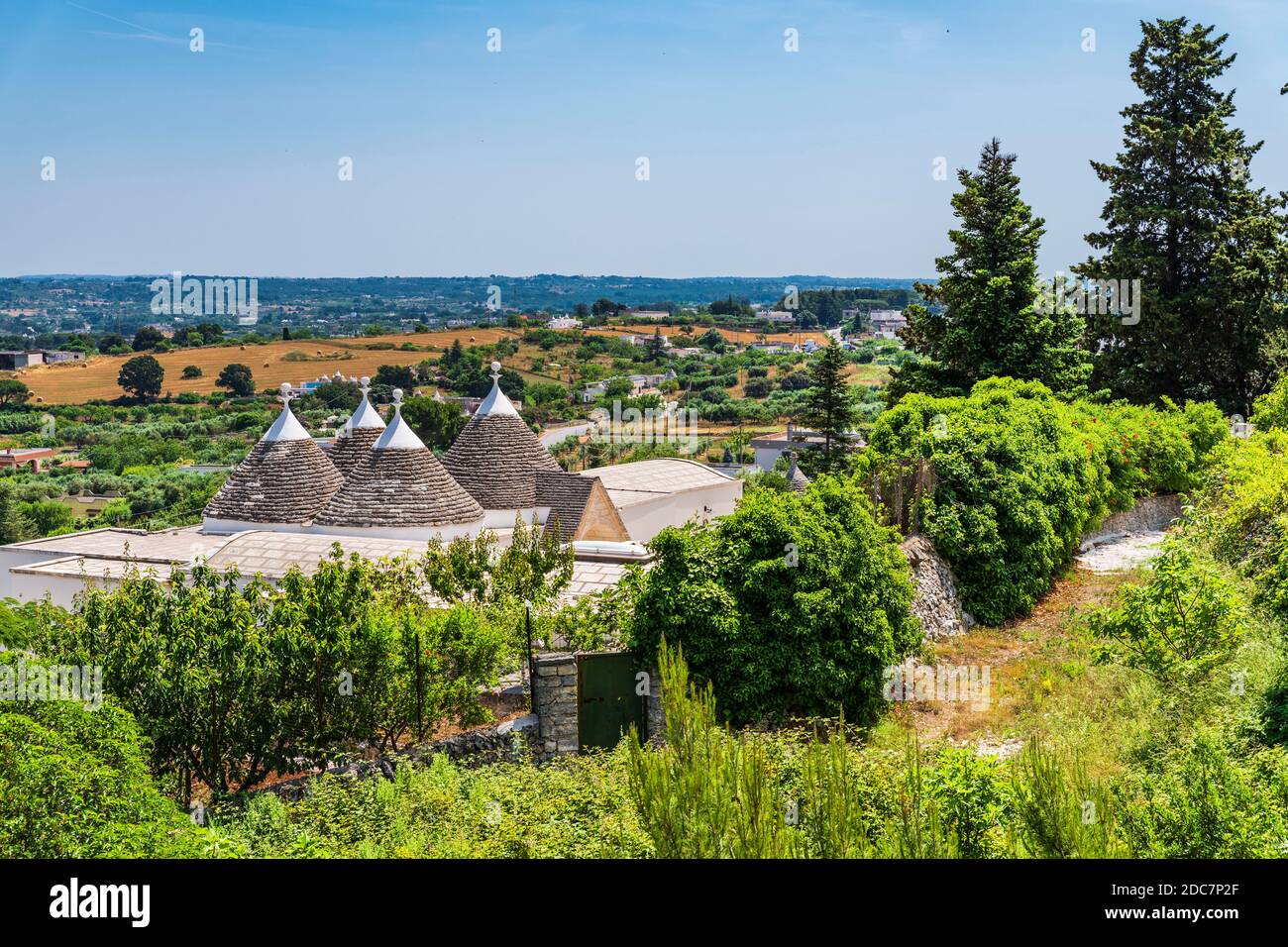 Olive trees and trulli of the Itria valley. Puglia Stock Photo - Alamy