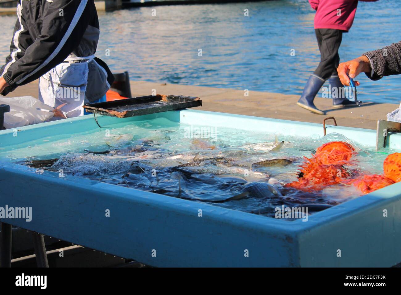 Fishermen selling fish market from boat hi-res stock photography and ...