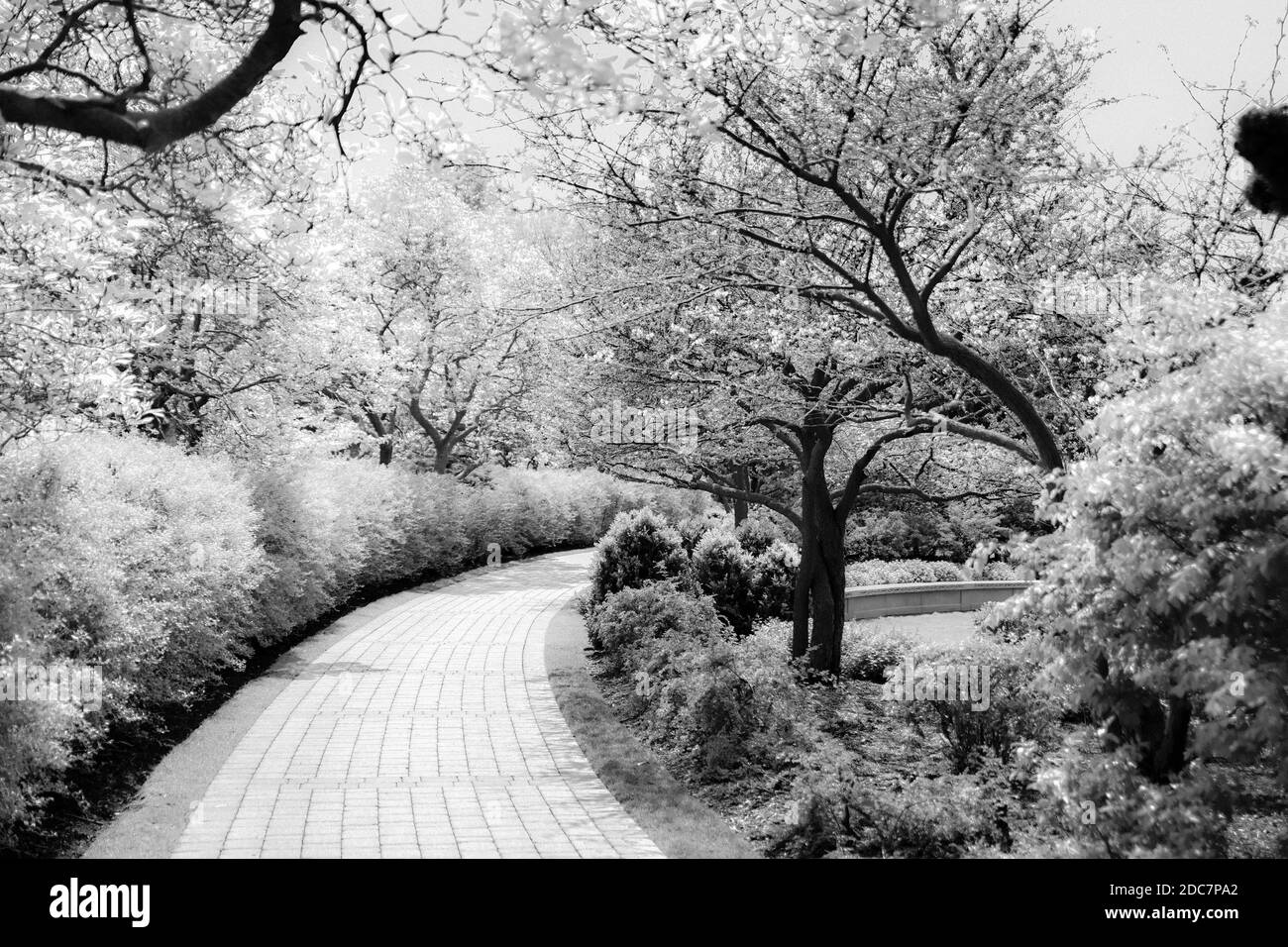 Empty bridge footpath Black and White Stock Photos & Images - Alamy