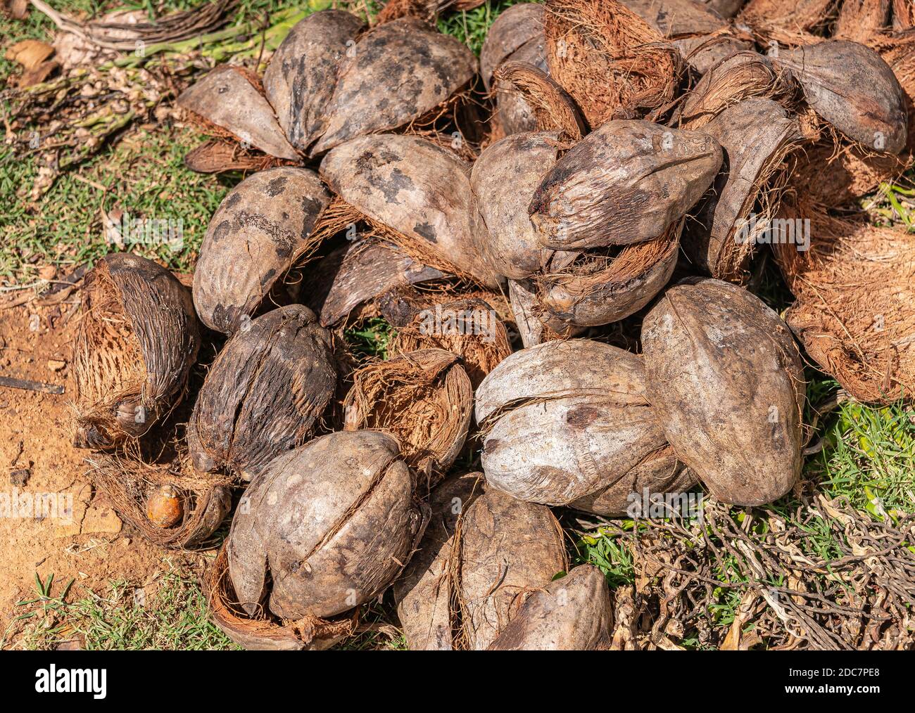 Lyng hi-res stock photography and images - Alamy