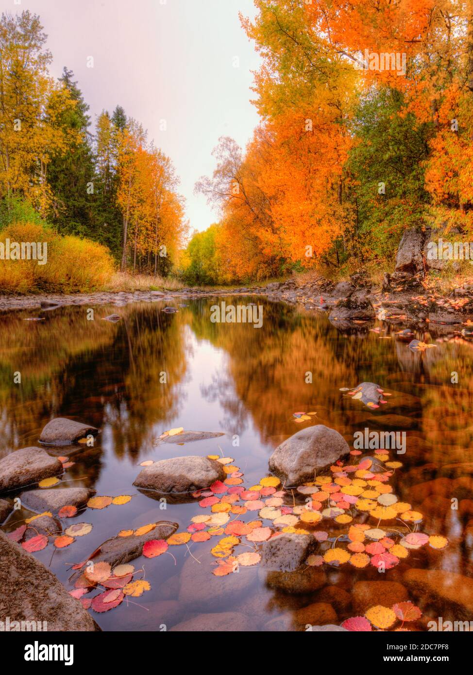 Riverscapes hi-res stock photography and images - Alamy