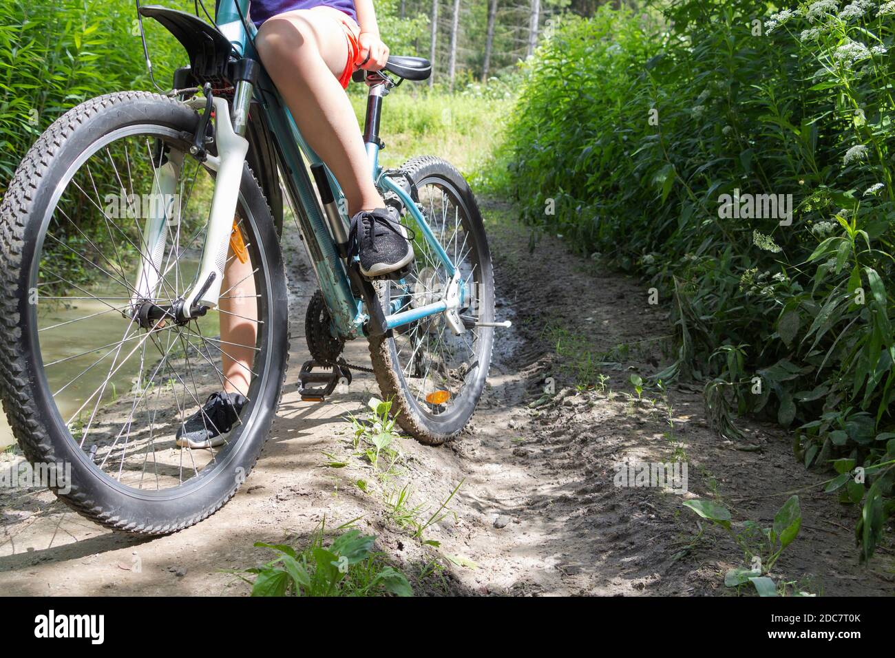 Girl riding bicycle low angle hi-res stock photography and images - Alamy