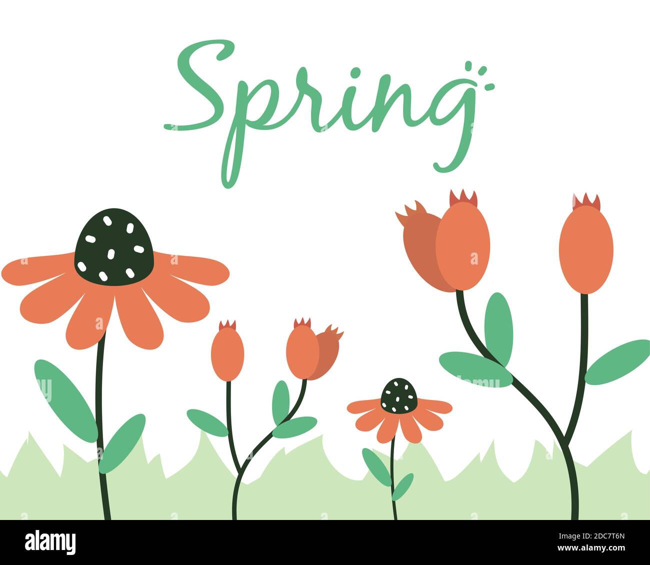 spring design with beautiful flowers and grass over white background ...