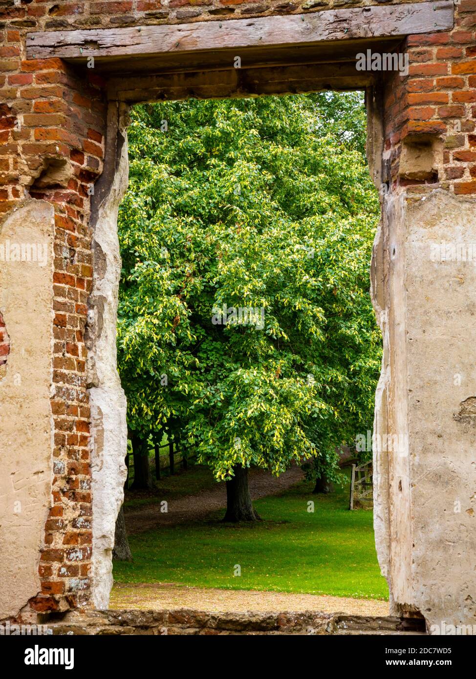 Tree viewed through window in the ruins of Houghton House a mansion ...