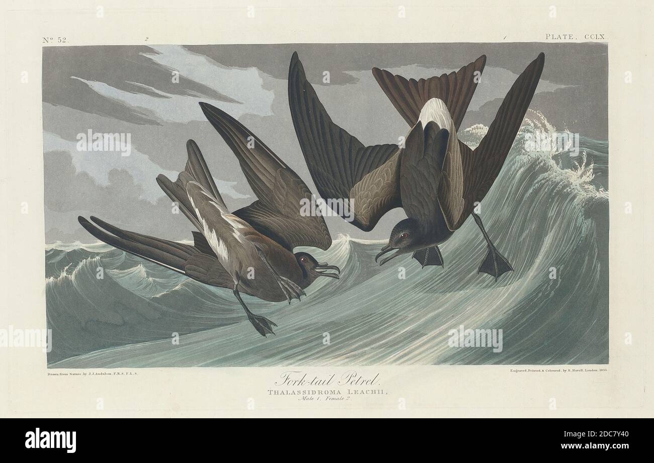 Robert Havell, Jr., (artist), American, born England, 1793 - 1878, John ...