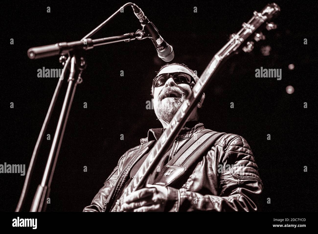 Blue Oyster Cult Live in Concert Stock Photo - Alamy