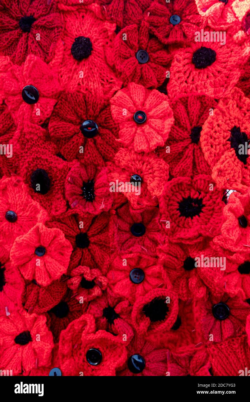 Knitted poppy display hi-res stock photography and images - Alamy