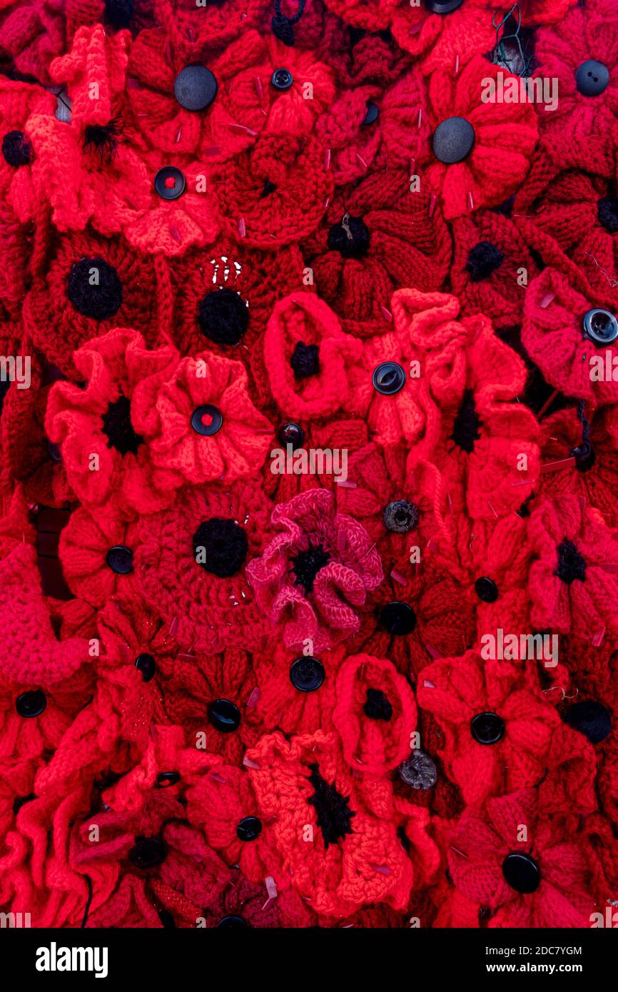Knitted poppy display hi-res stock photography and images - Alamy