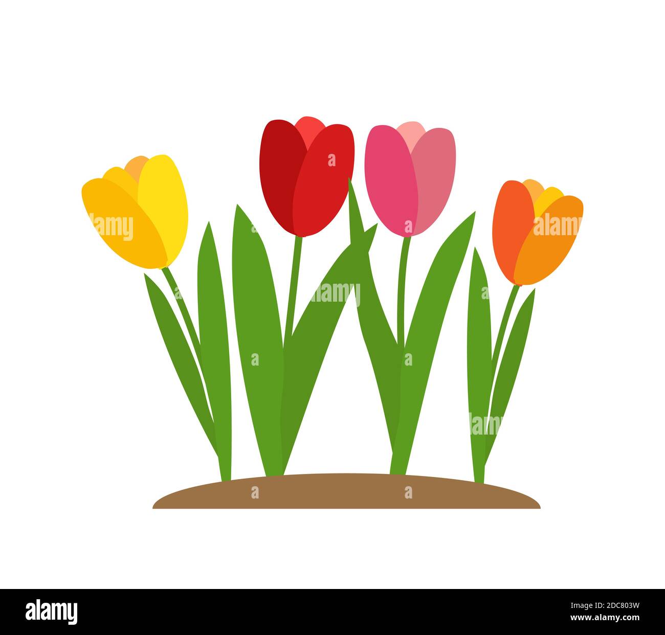 Spring Tulip Flowers Background Illustration Stock Photo - Alamy