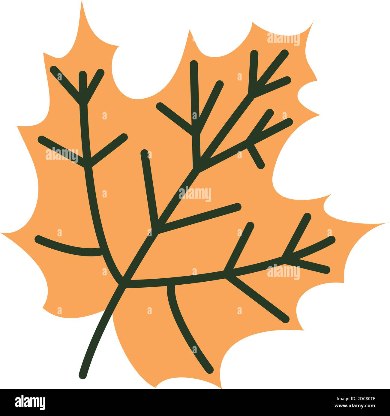 icon of maple leaf over white background, half line half color style ...
