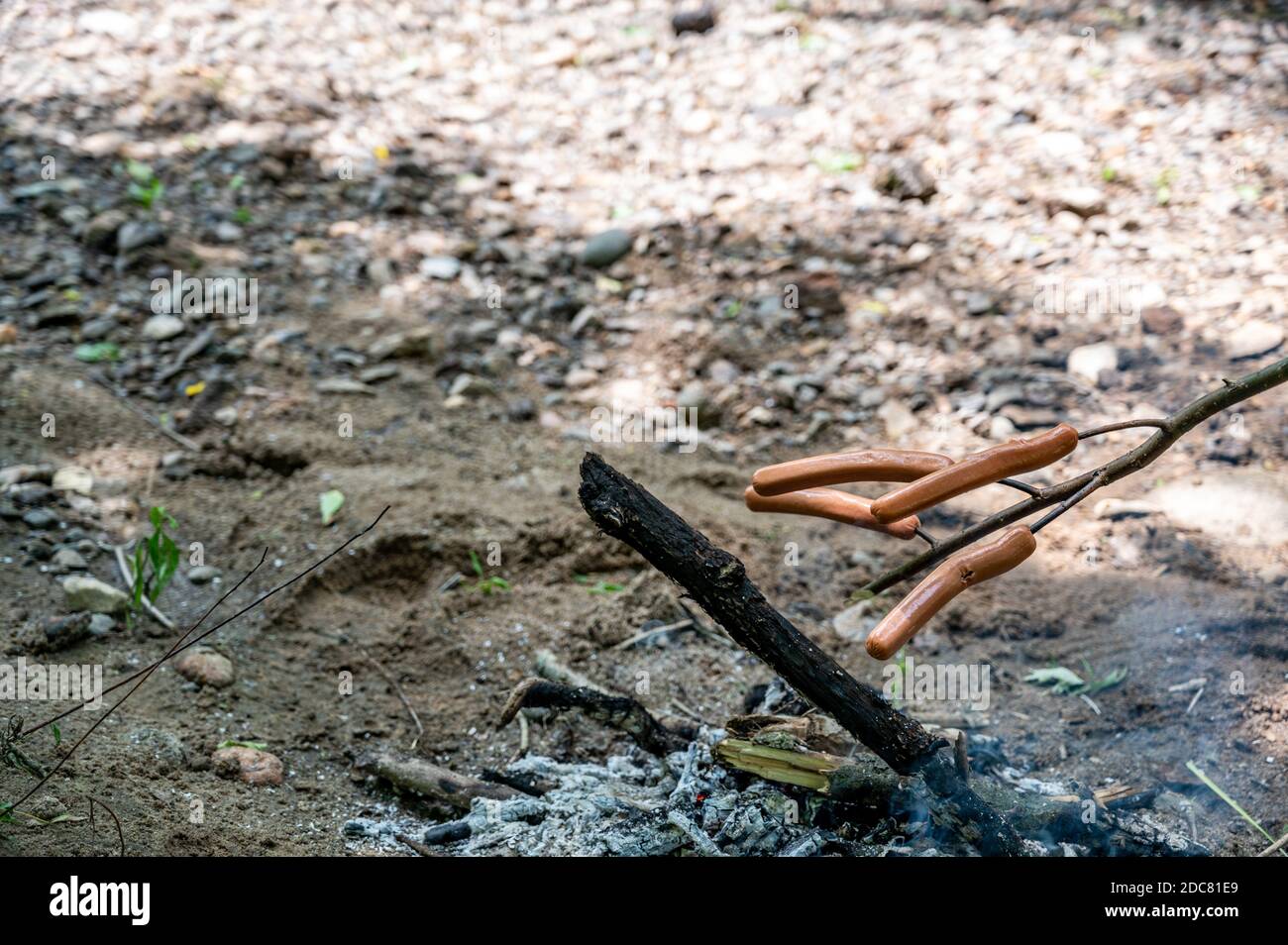 Common camping activity of cooking food over an open fire Stock Photo ...