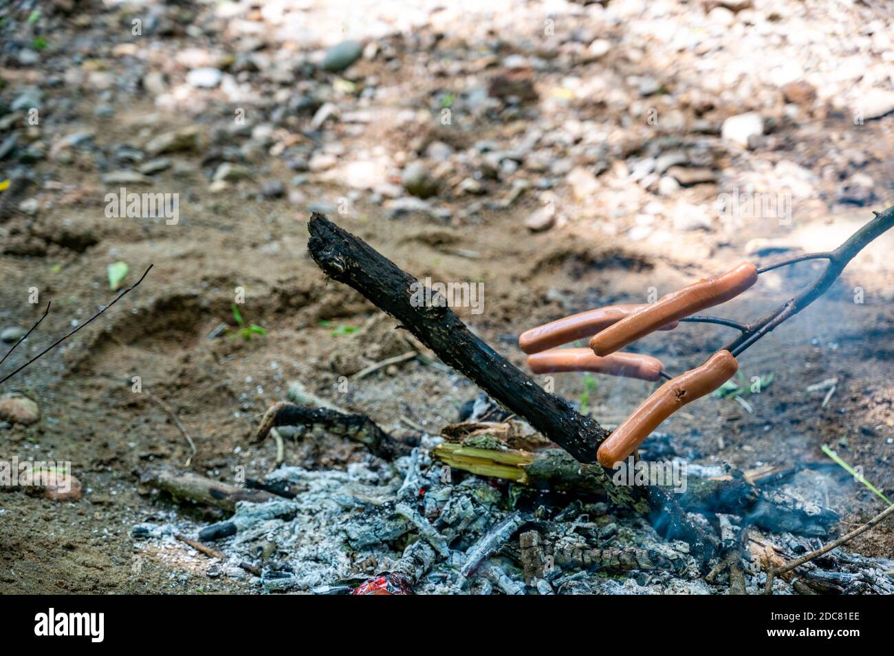 Common camping activity of cooking food over an open fire Stock Photo ...